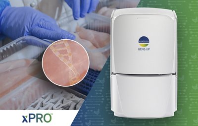 GENE-UP® Pathogenic E. coli | Pioneering Diagnostics